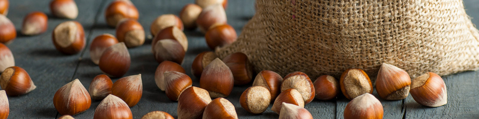 Dark Chocolate Hazelnut Butter Cups transcend the ordinary – Twins Love ...